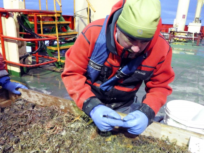 Trawl sorting - Stormr